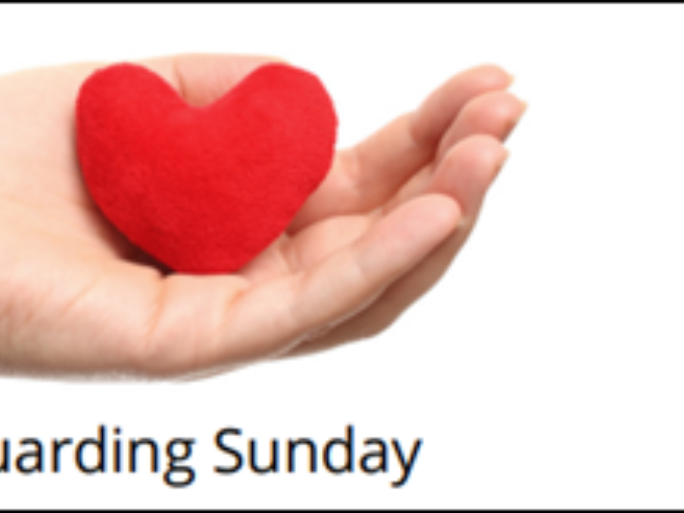 Newsletter / St Francis