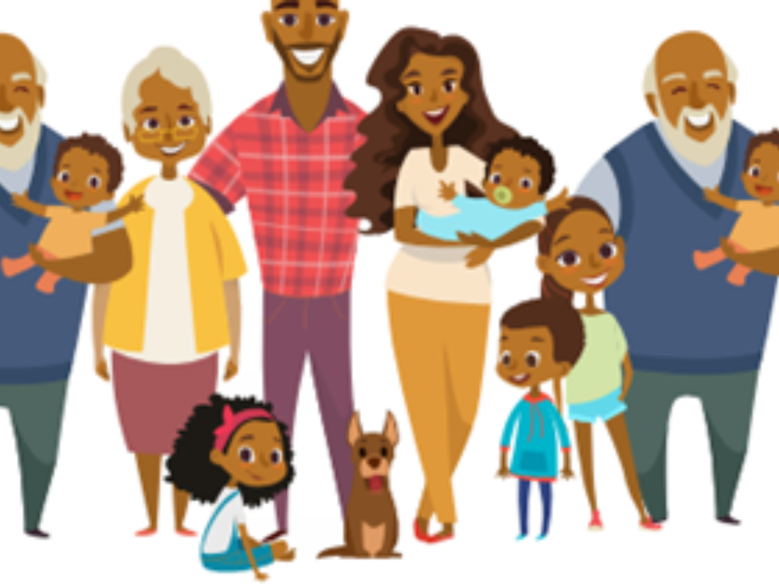 Newsletter / St Francis