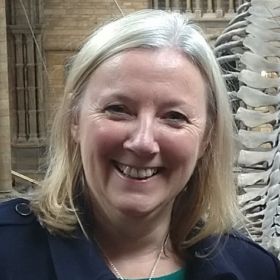 Contact / St Francis